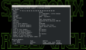 Securonix Threat Labs Initial Coverage Advisory: BPFDoor Global Surveillance Tool Detection and ...