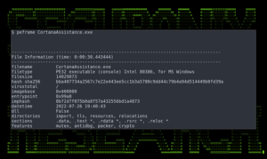 Securonix Security Advisory: Python-Based PY#RATION Attack Campaign ...